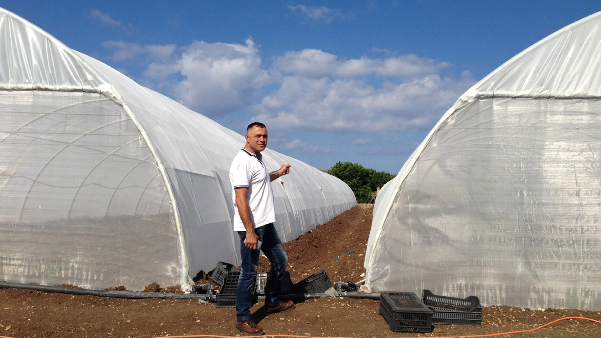 Services – GrowGreen